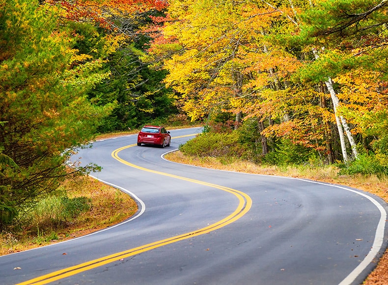 Clear Path Toward Mobility Compliance | Dow Corporate