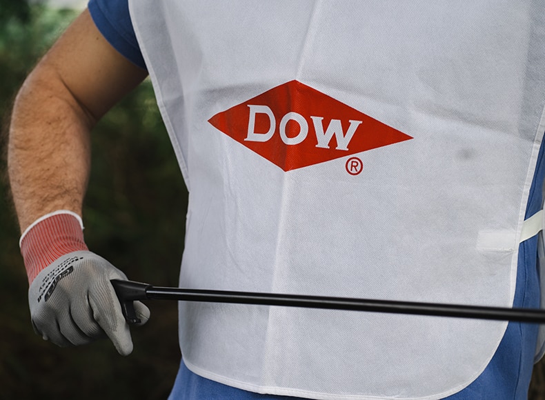 How Dow Employees Power Change Through Volunteering | Corporate Dow