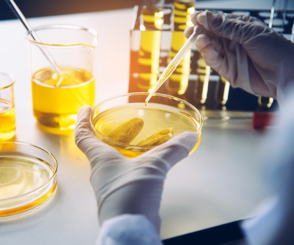 Dow Awards and Recognition | Corporate Dow